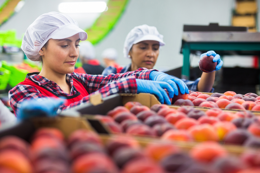 Food Packing Jobs: Opportunities and Requirements in the Industry ...