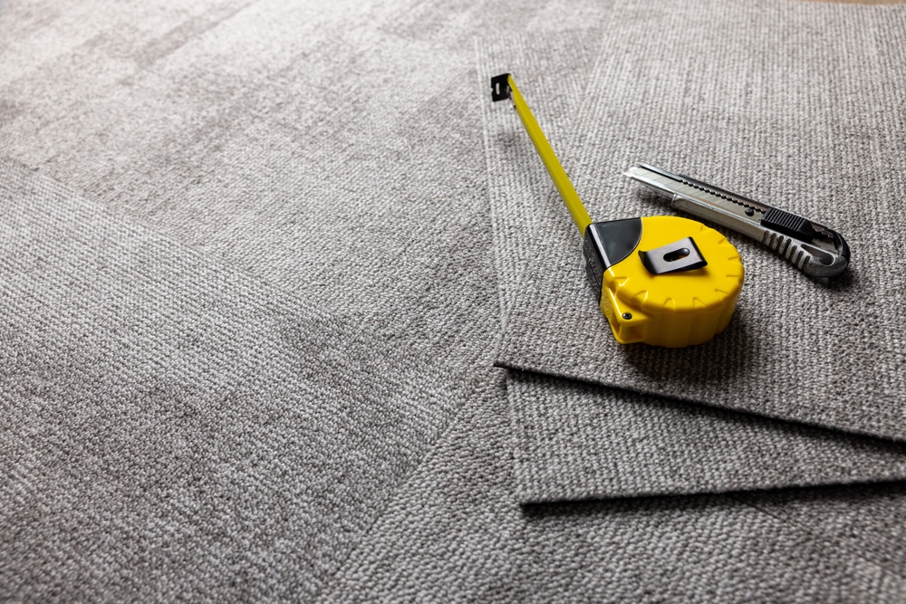 A Fresh Foundation: Everything to Know About Carpet Replacement and ...
